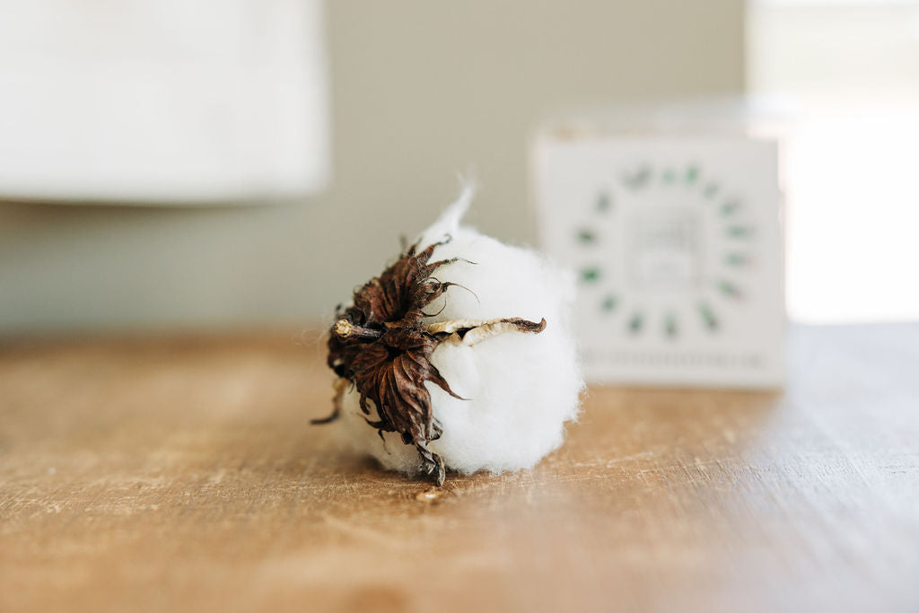 The Cotton Collection – Covered in Cotton