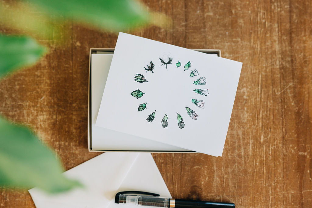 The Cotton Collection – Covered in Cotton