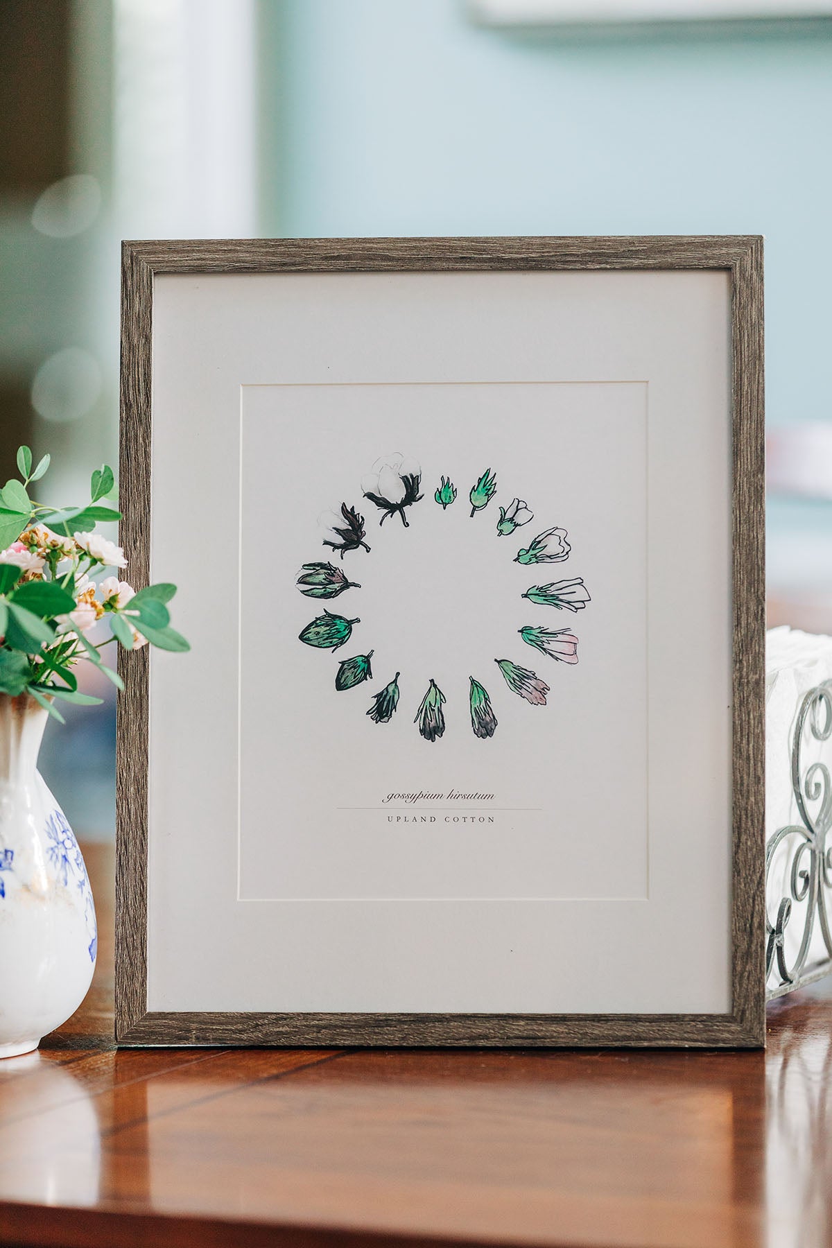 The Cotton Collection – Covered in Cotton